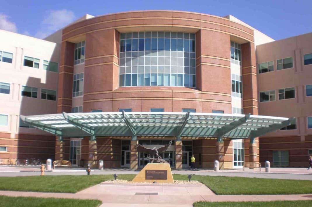 Should I Use A VSO Or Attorney For My VA Claim?